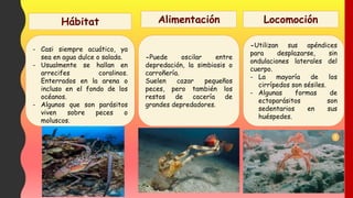 Artrópodos-Clase Crustácea | PPTX