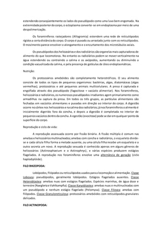Zoologia de invertebrados - Estudo 1 | DOCX