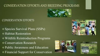 ZOOLOGICAL GARDENS AND ZOOLOGICAL MANAGEMENT.pptx