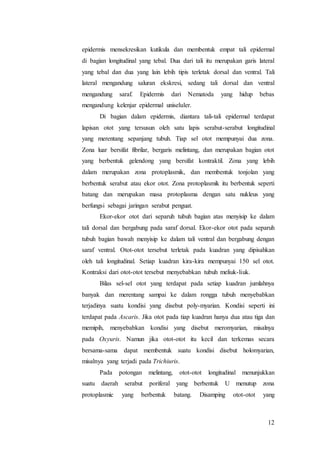 Makalah Nemathelminthes | DOCX