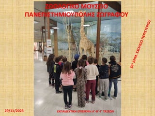 Zoologiko_Nov_2023.pptx