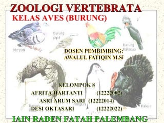 Aves (Burung) | PPTX