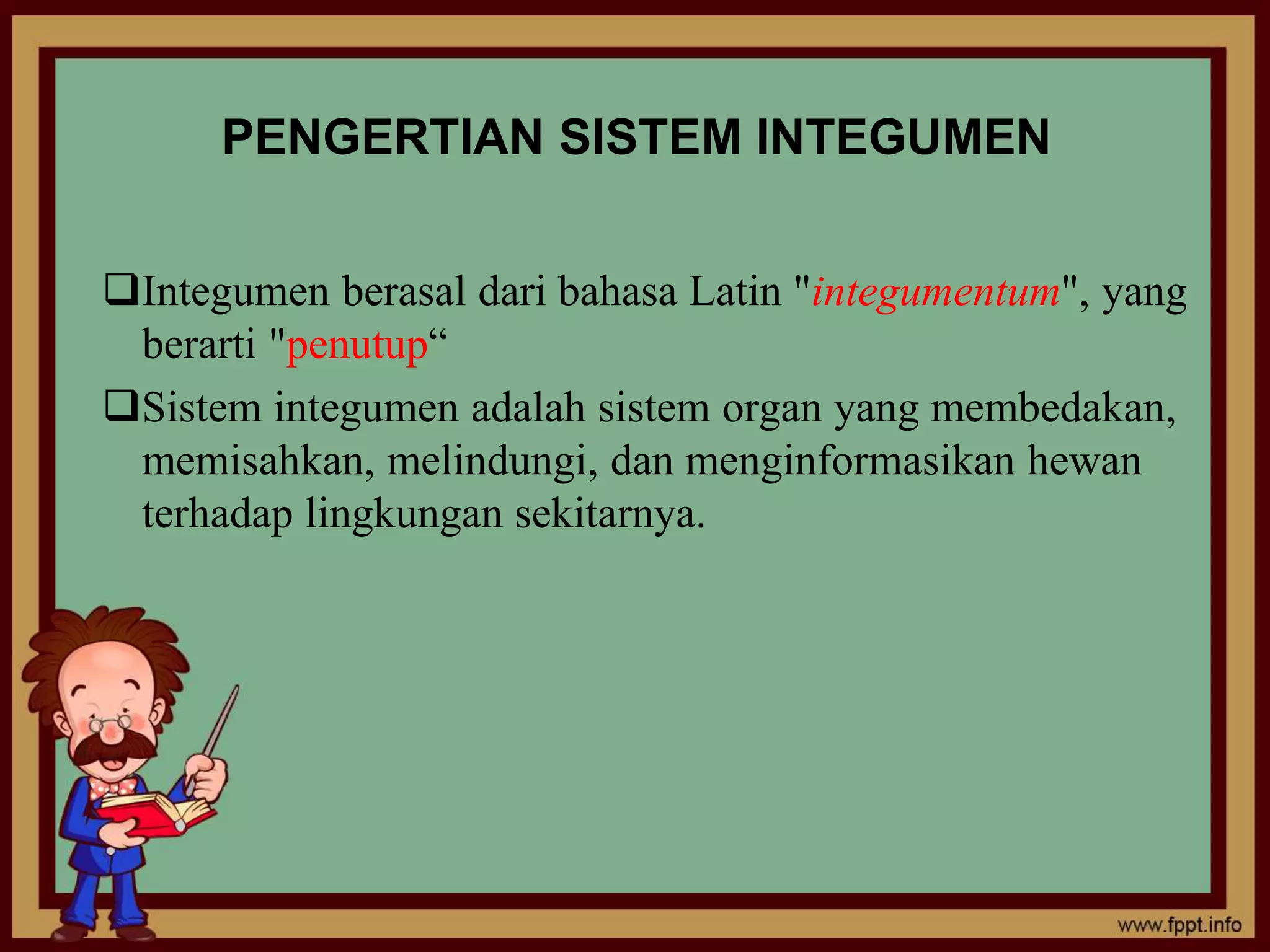 sistem integumen | PPTX