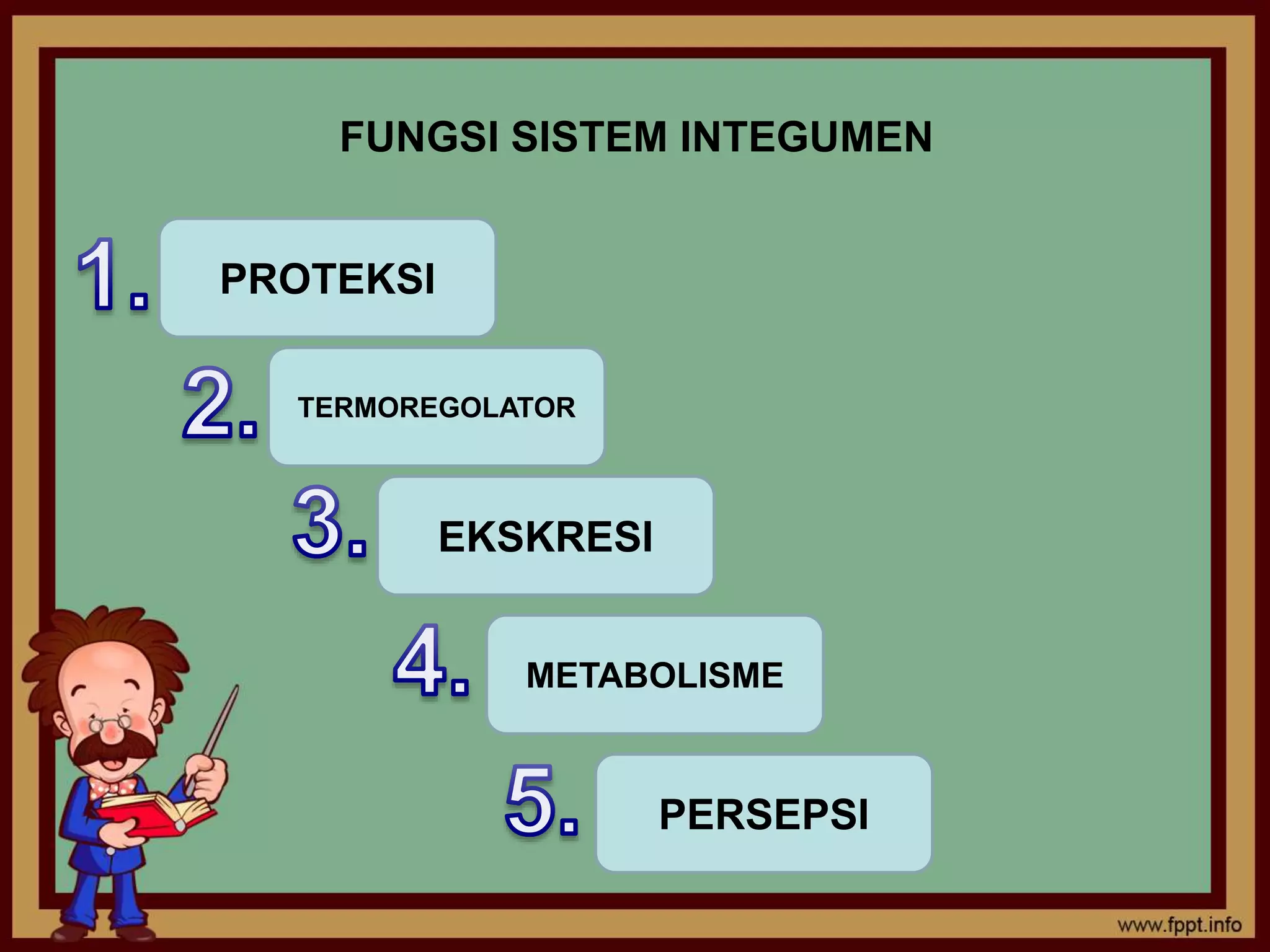 sistem integumen | PPTX