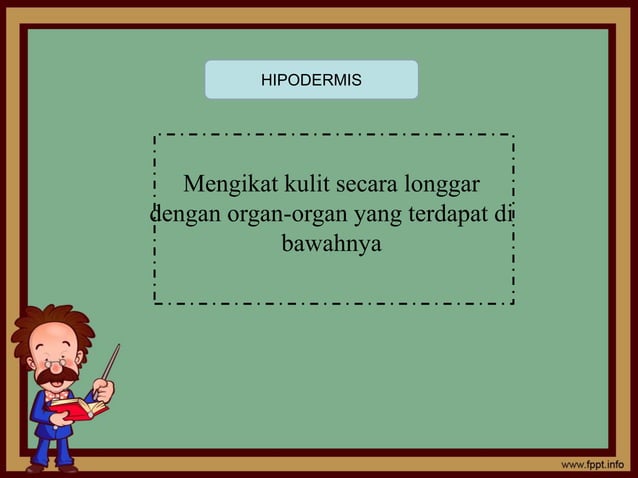 sistem integumen | PPTX