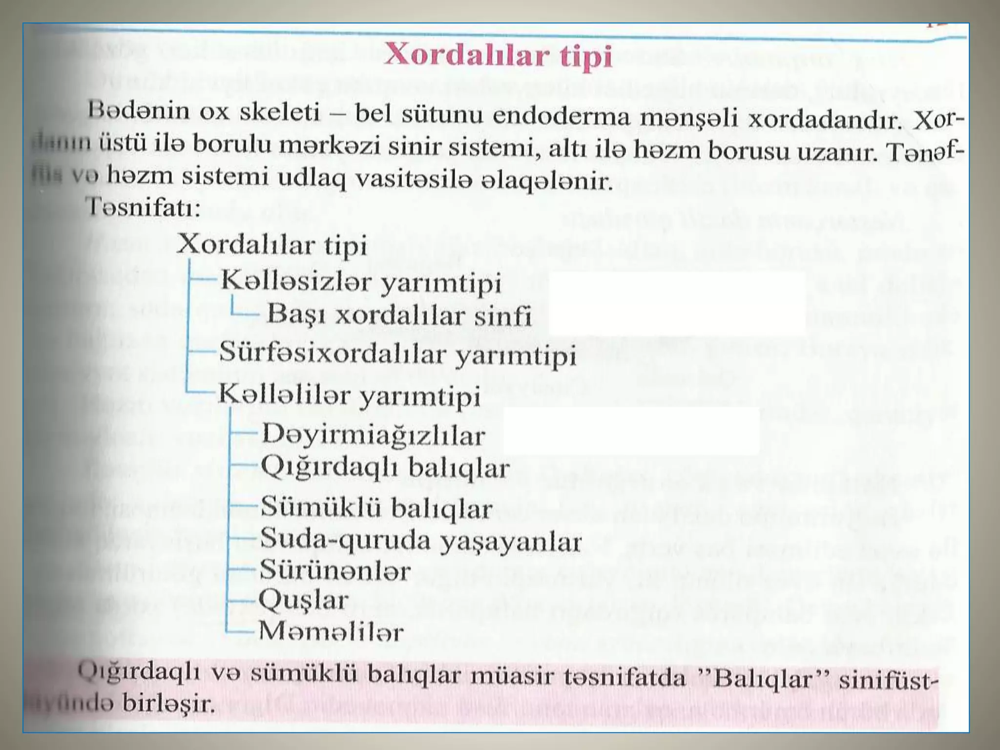 Zoologiya 8 dərs 6(neştərçə balıq) | PPTX