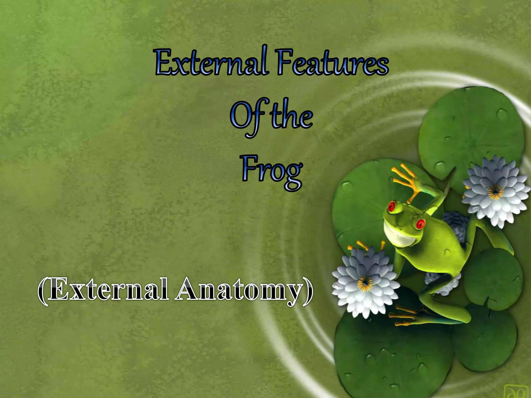 Zoology(External Features of the Frog & Buccal Cavity) | PPTX