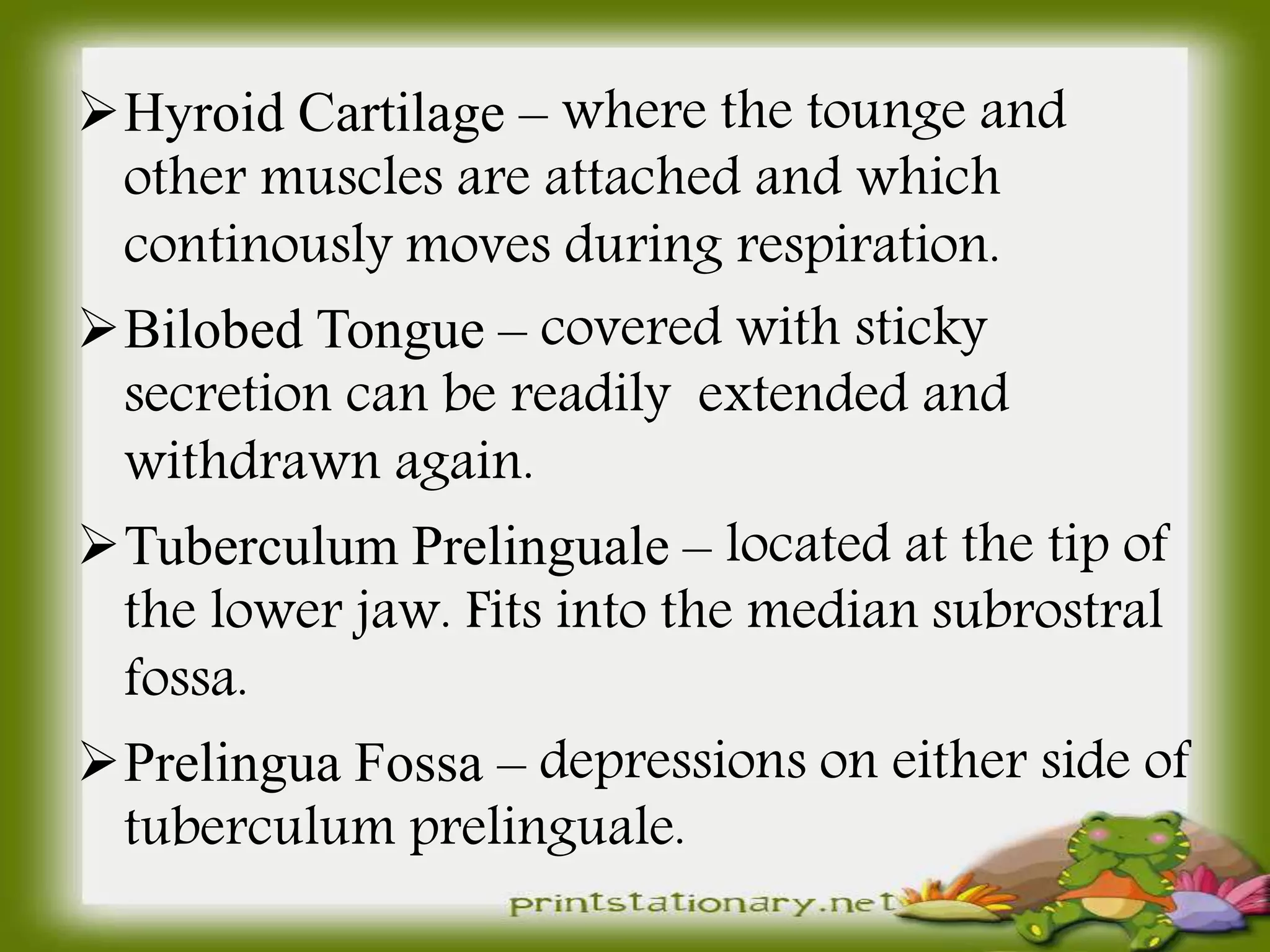 Zoology(External Features of the Frog & Buccal Cavity) | PPTX