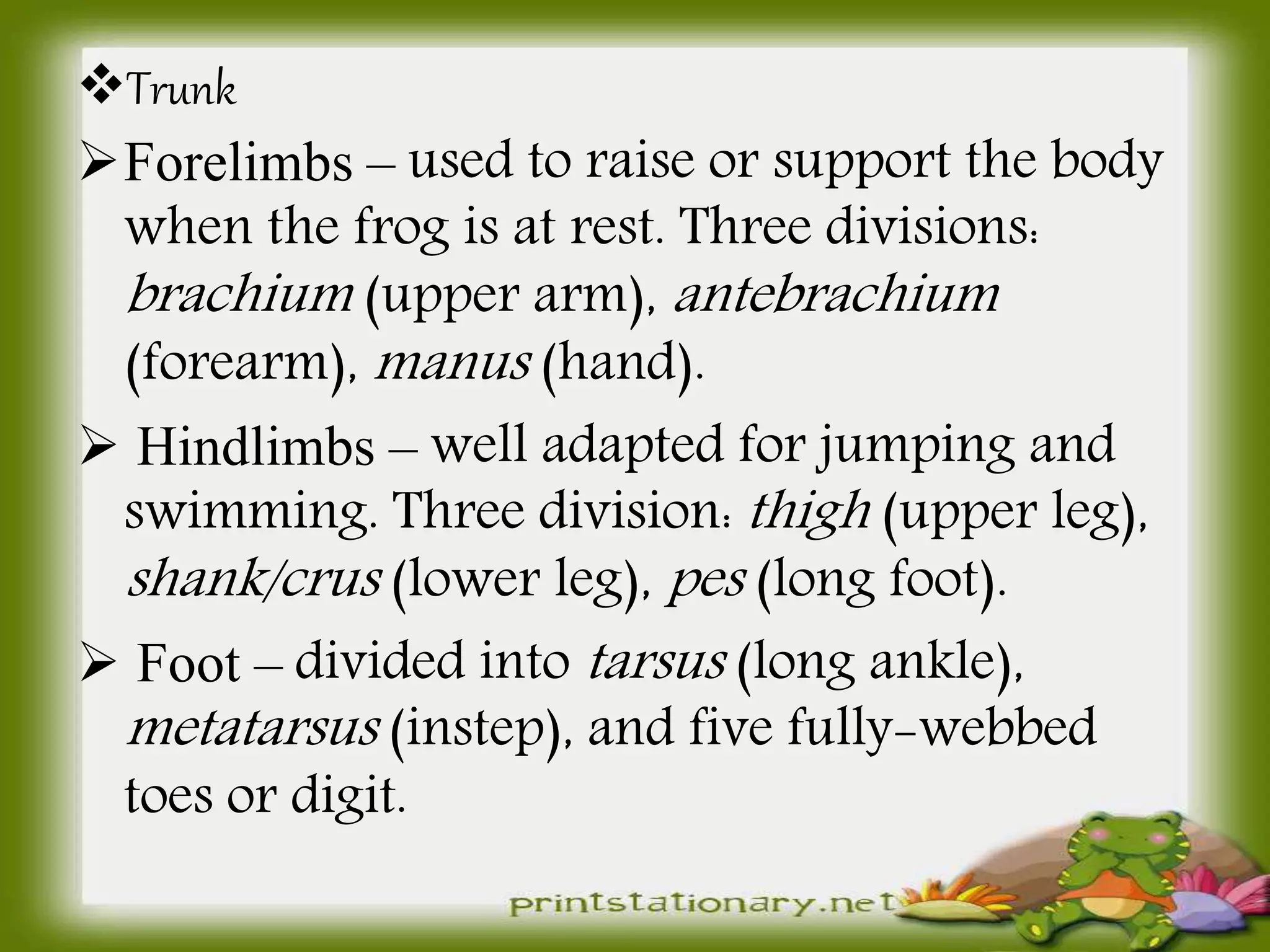 Zoology(External Features of the Frog & Buccal Cavity)