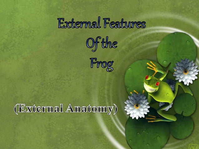 Zoology(External Features of the Frog & Buccal Cavity) | PPTX | Death ...