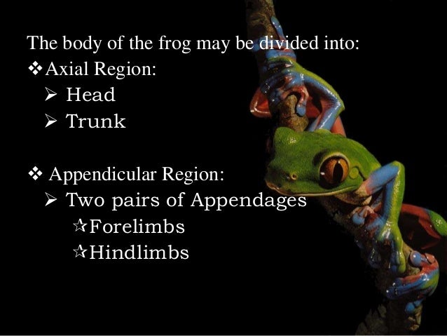 Zoology(External Features of the Frog & Buccal Cavity)