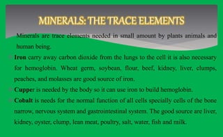 Zoology CHEMISTRY OF LIFE | PPTX