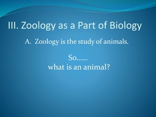 Zoology | PPTX