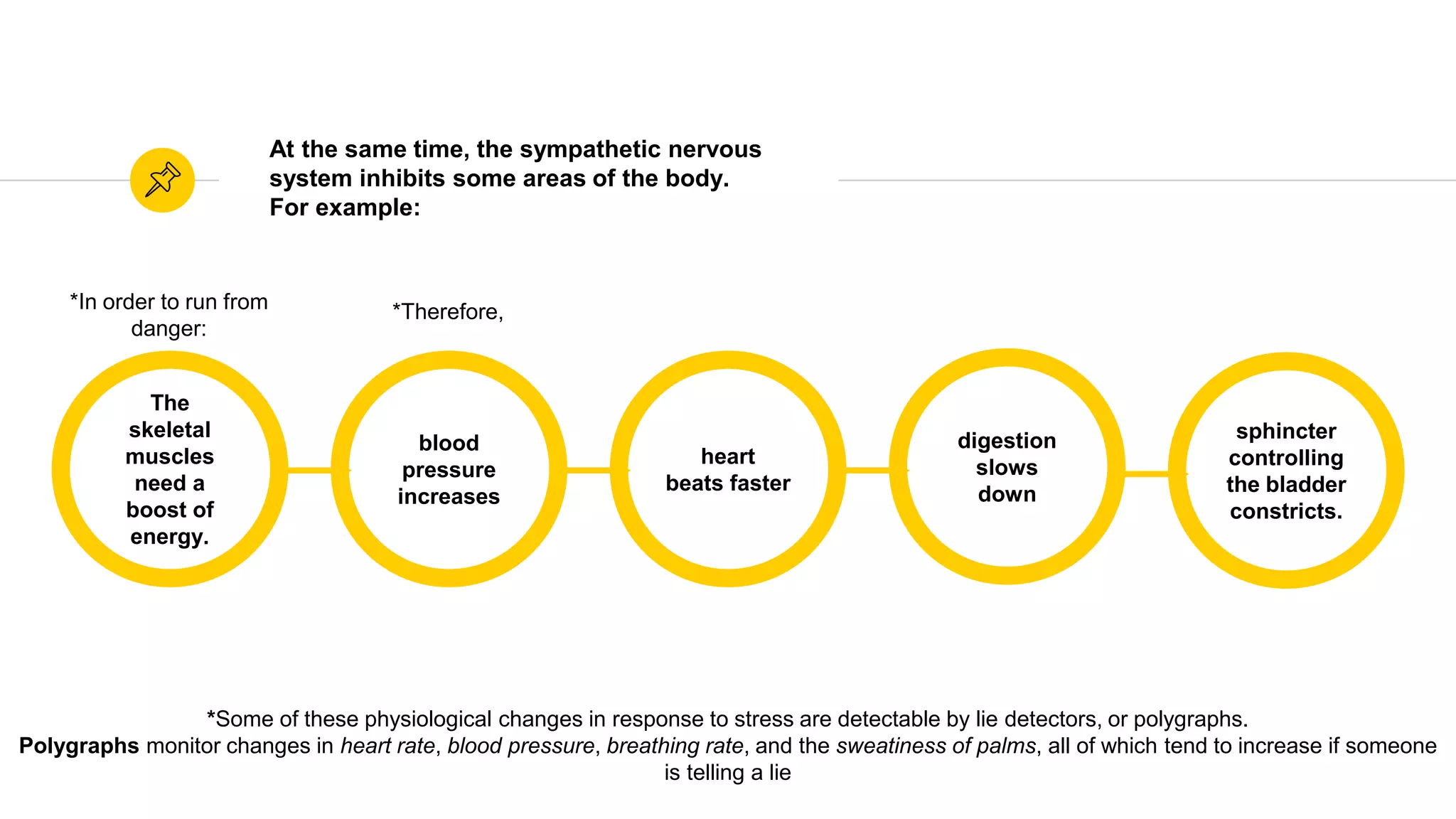AnaPhy | Parasympathetic and Sympathetic Division | PPTX