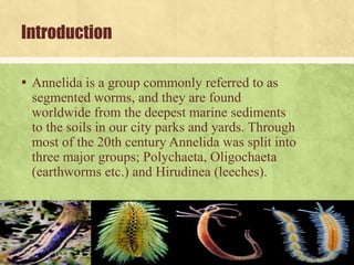 Segmented Worms Examples