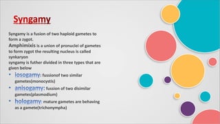 protostomes and deuterostomes | PDF