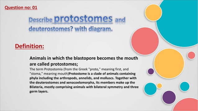 protostomes and deuterostomes | PDF