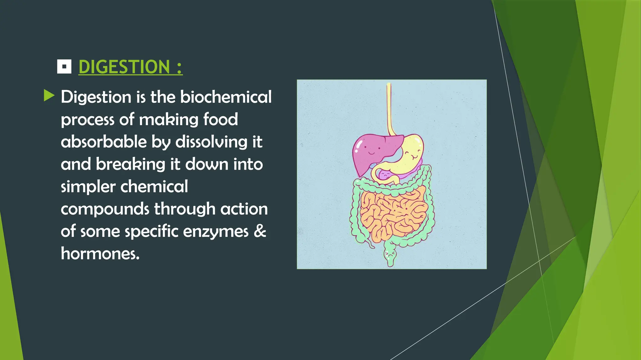 Digestion & Absorption (zoology human body).pptx