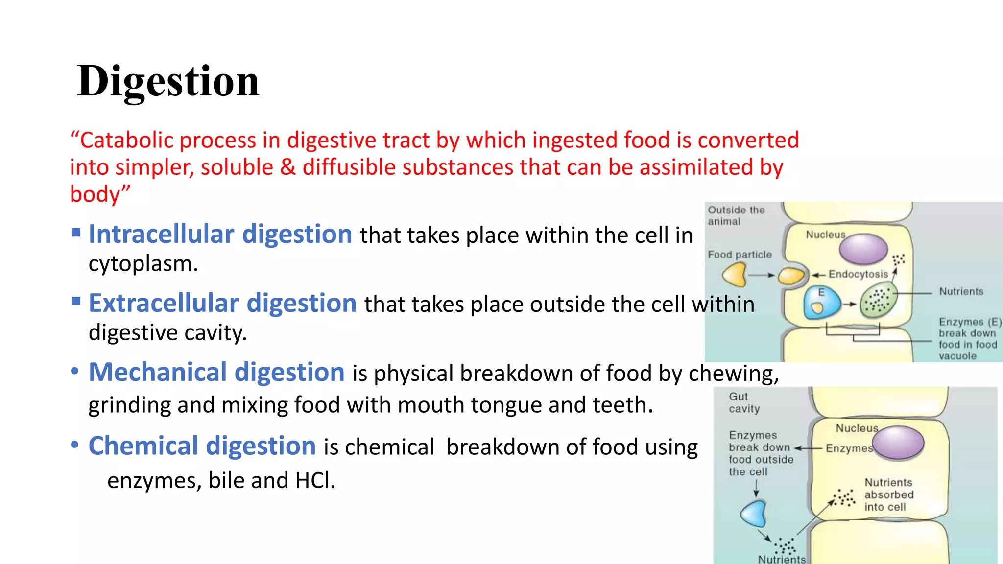 Chapter 27 Miller Harley zoology | PPTX
