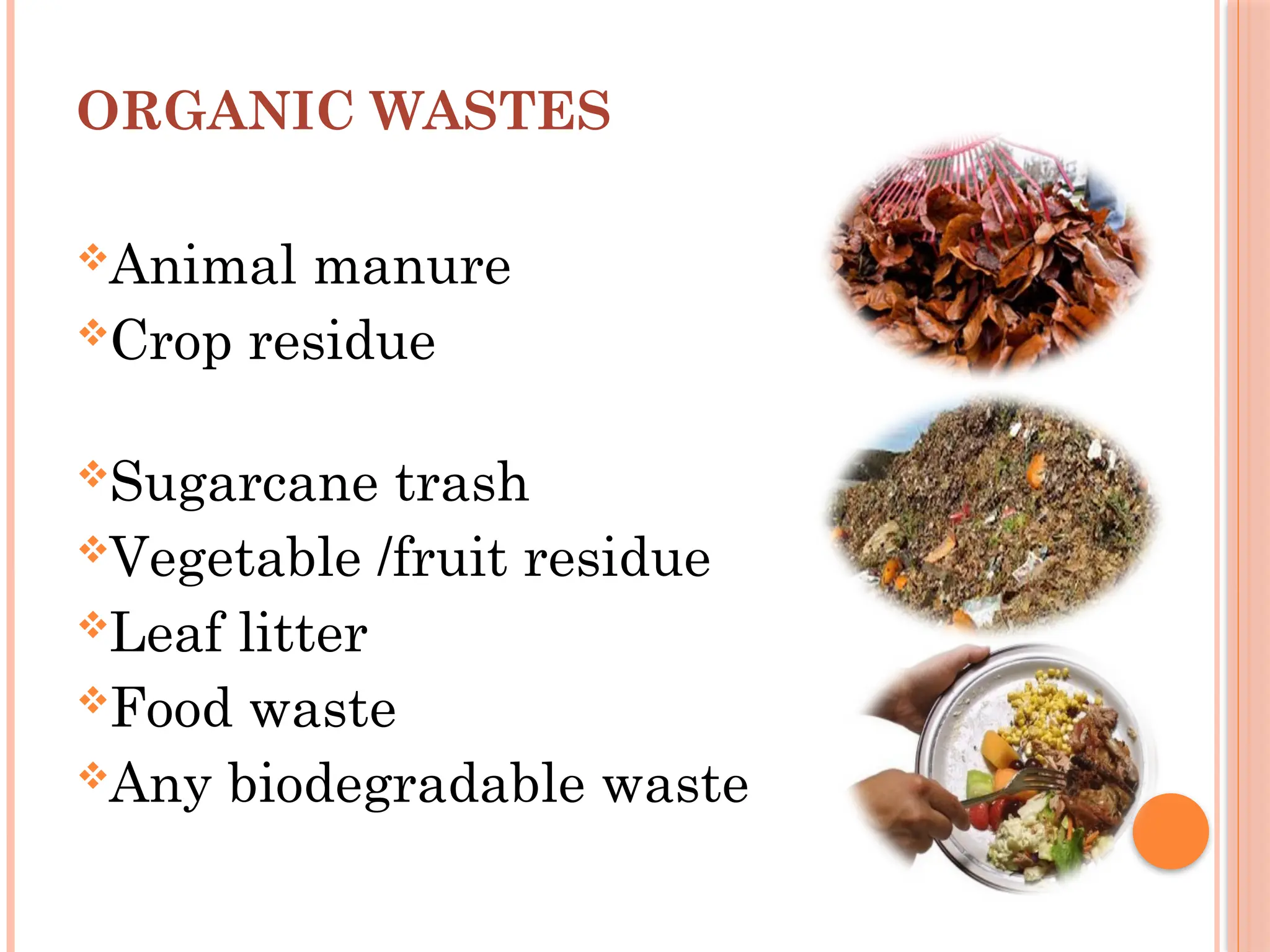 ZOOLOGY - VERMITECHNOLOGY - NME PRESENTATION.pptx