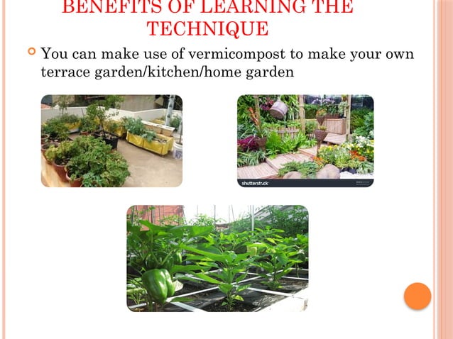 ZOOLOGY - VERMITECHNOLOGY - NME PRESENTATION.pptx