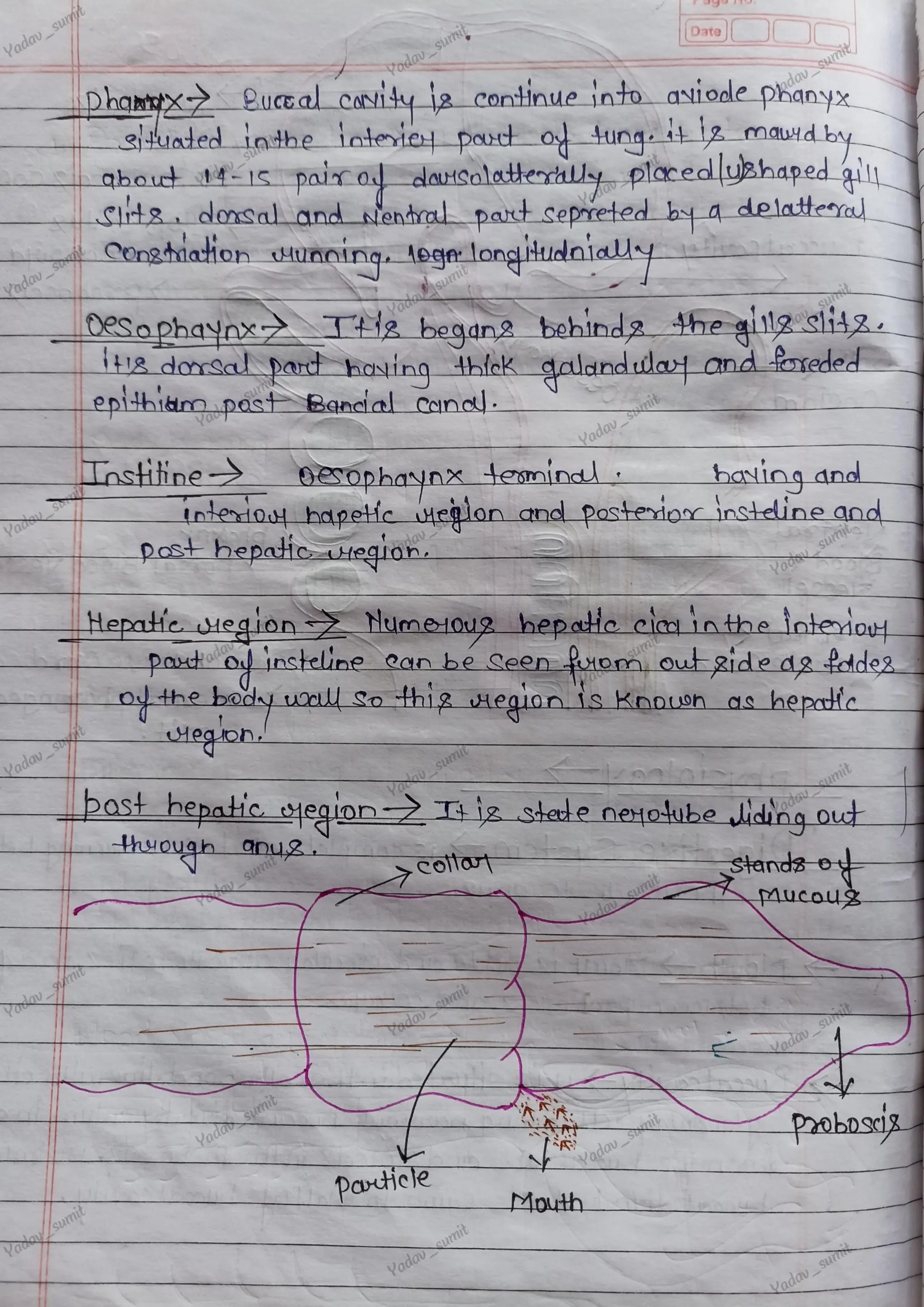 Zoology 5th semester notes( Sumit_yadav).pdf