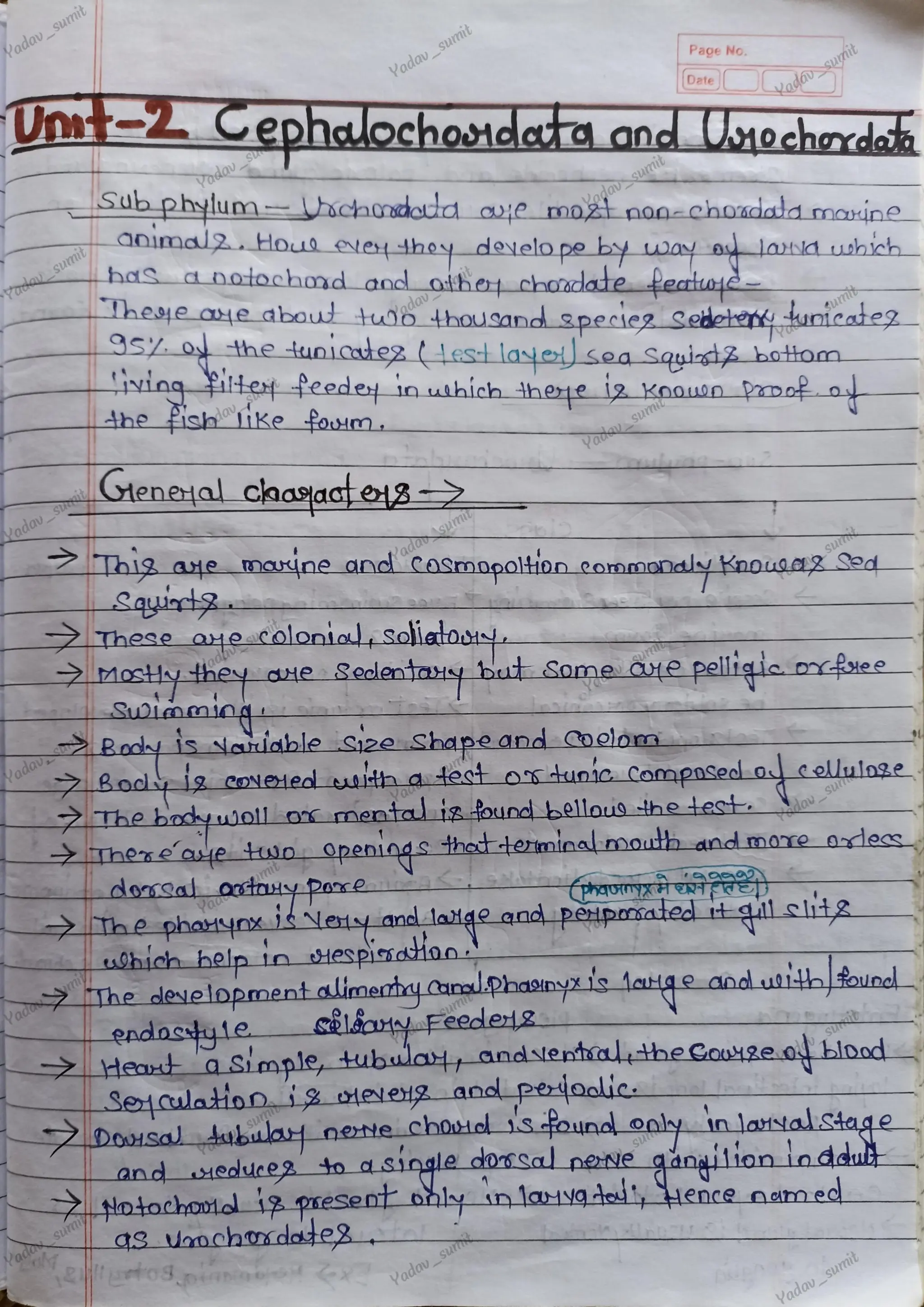 Zoology 5th semester notes( Sumit_yadav).pdf