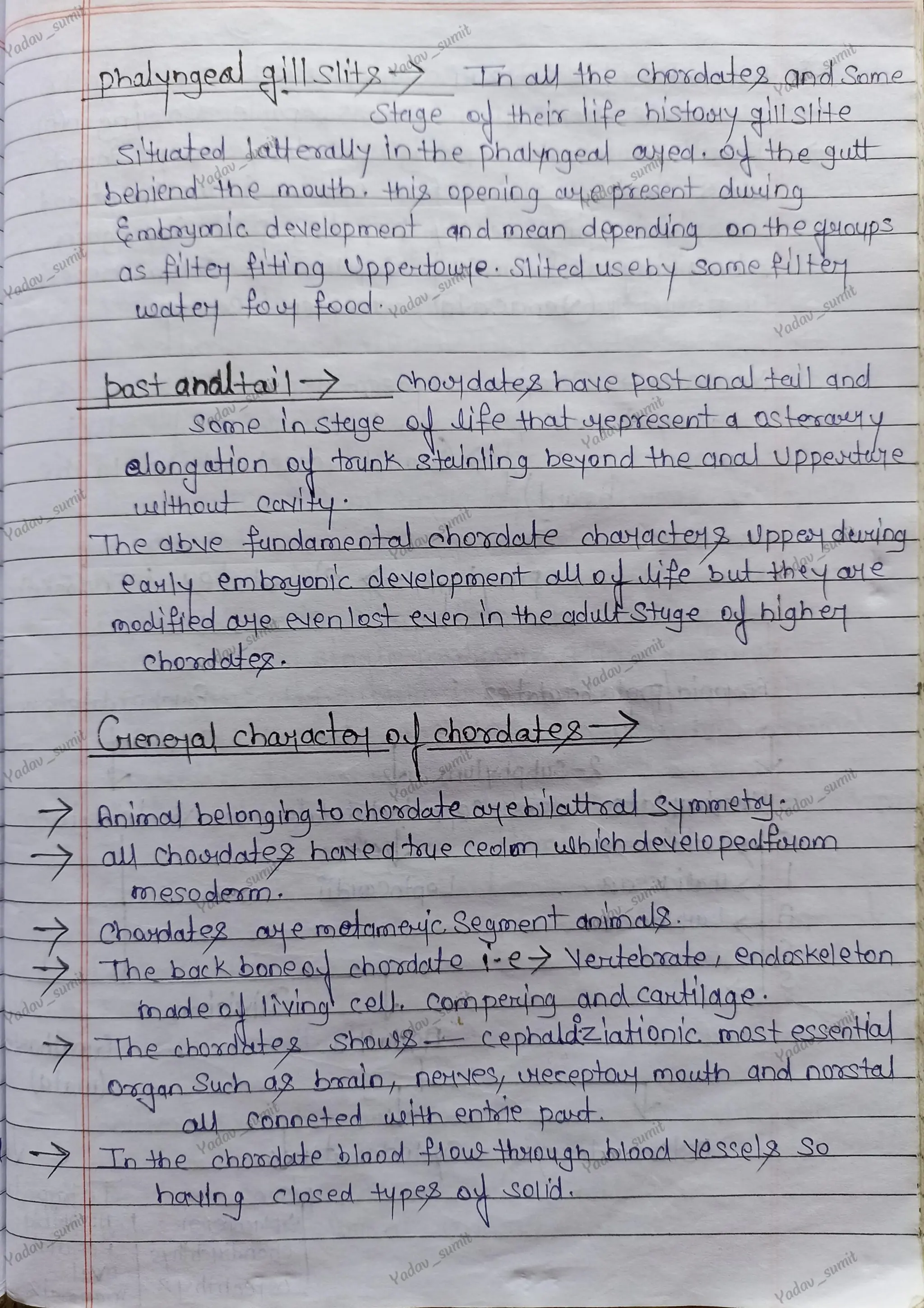 Zoology 5th semester notes( Sumit_yadav).pdf