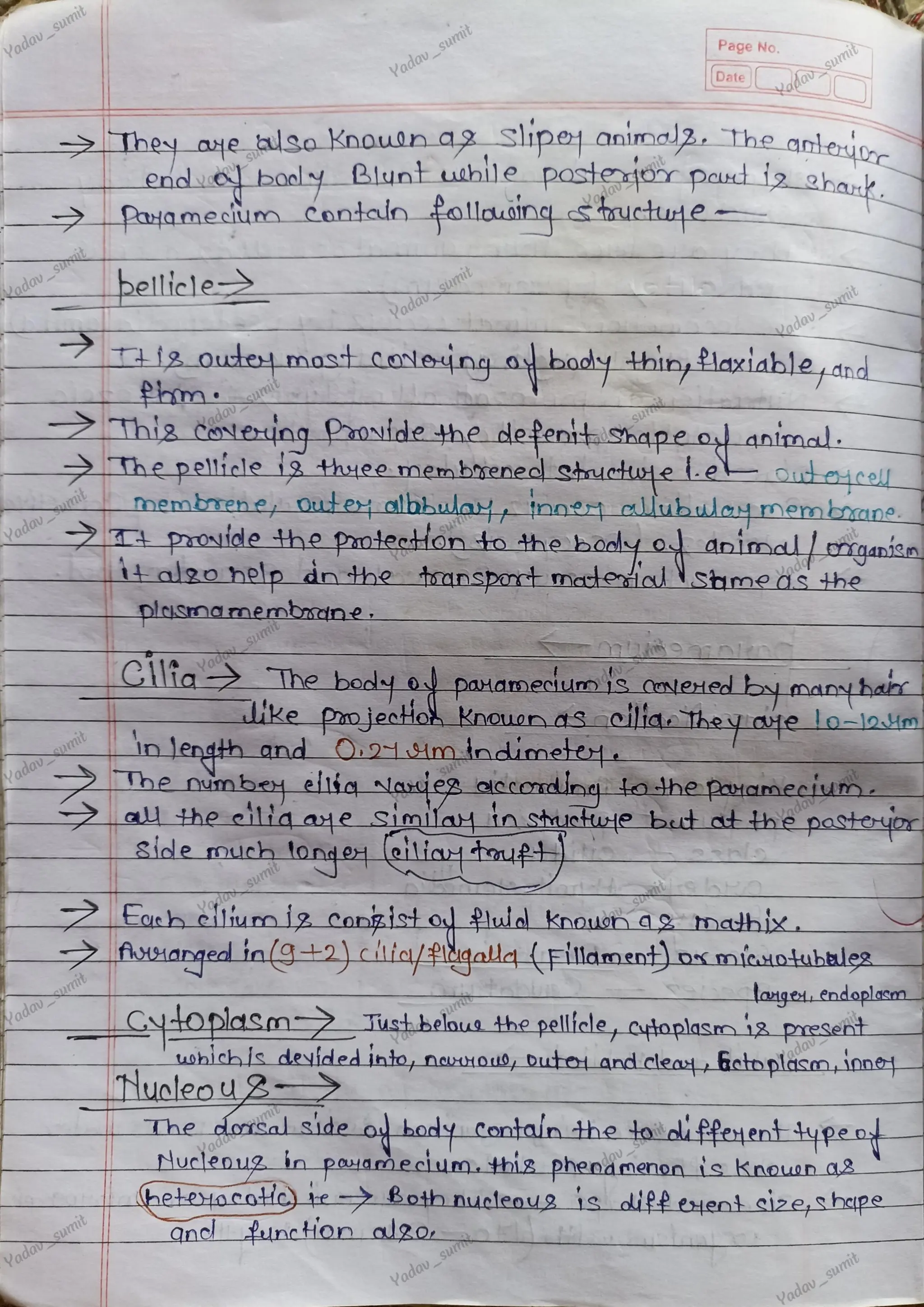 Zoology 5th semester notes( Sumit_yadav).pdf