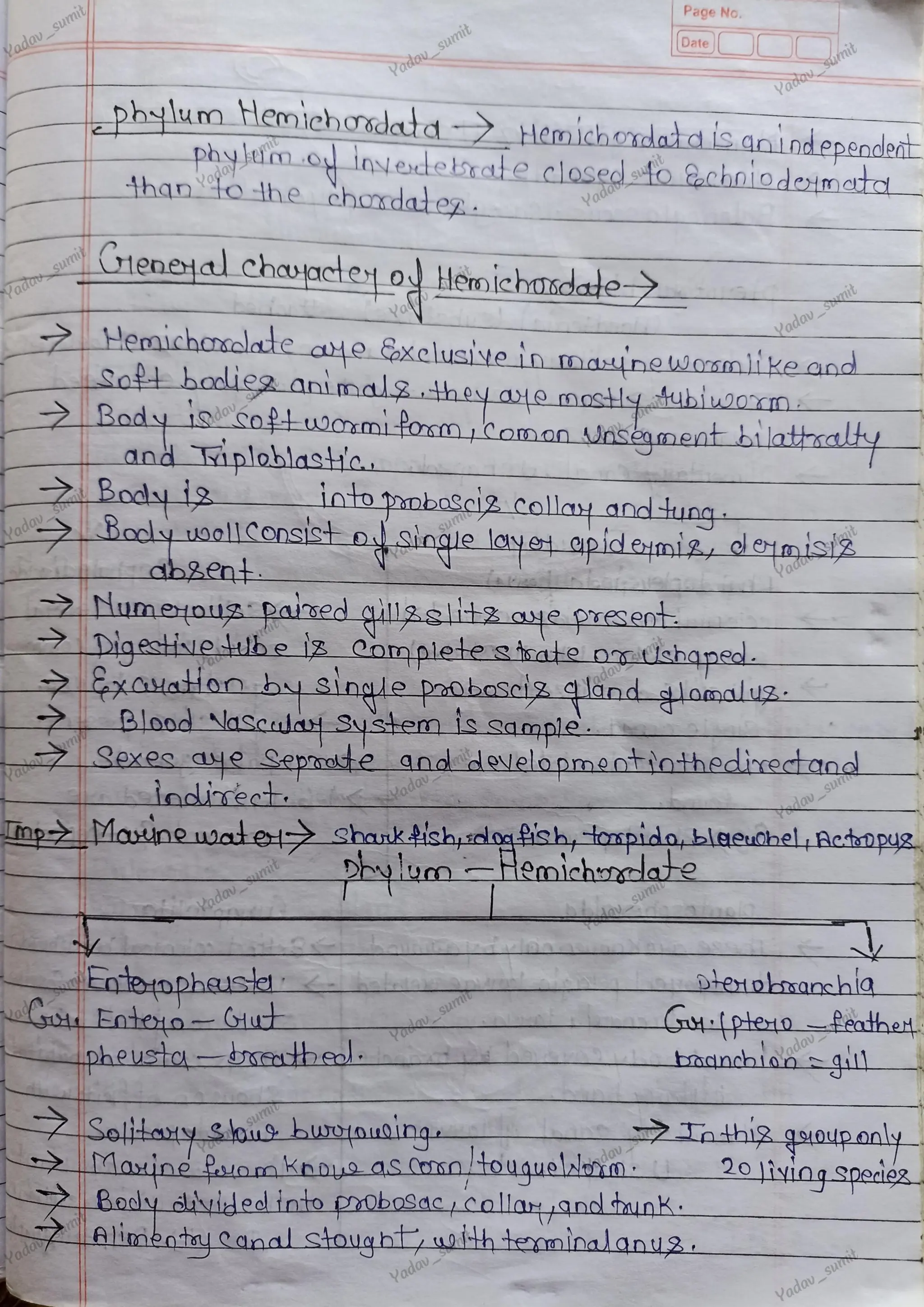 Zoology 5th semester notes( Sumit_yadav).pdf