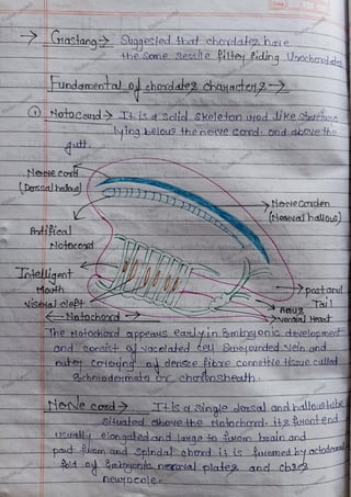 Zoology 5th semester notes( Sumit_yadav).pdf