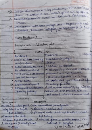 Zoology 5th semester notes( Sumit_yadav).pdf