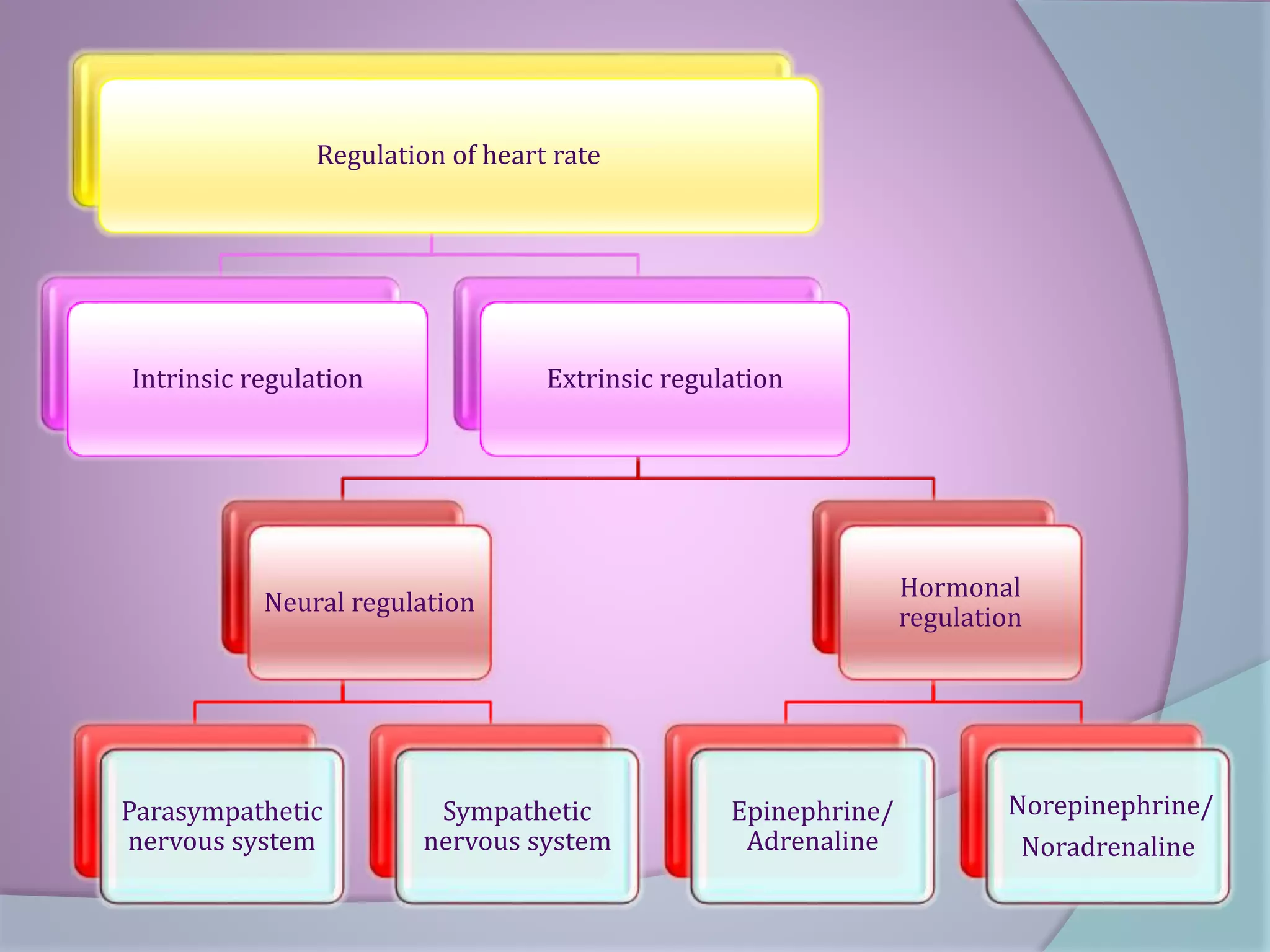 Nervous and hormonal regulation of heart beat.pptx