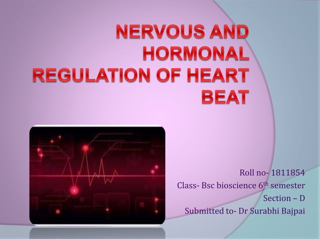 Nervous and hormonal regulation of heart beat.pptx | Heart and ...