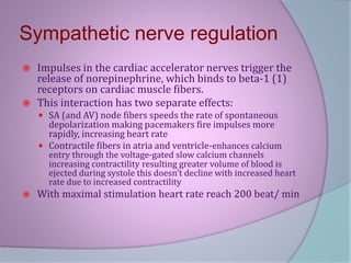 Nervous and hormonal regulation of heart beat.pptx