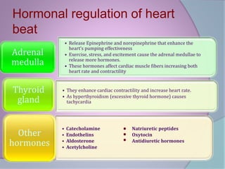 Nervous and hormonal regulation of heart beat.pptx