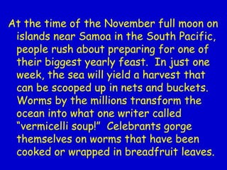 Zoology ch13annelida | PPT