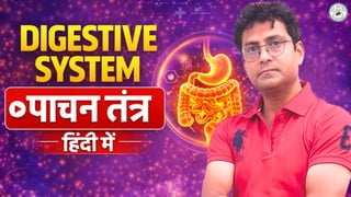 ZOOLOGY DIGESTION (4).ppt digestive syst | PPT