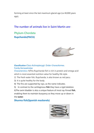 Zoologydiversity | PDF