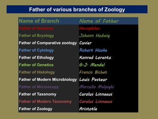 Zoology II | PPTX