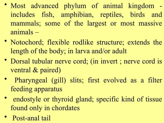 Zoology_II;_the_chordates.pptx first year | PPT