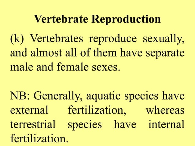 Zoology_II;_the_chordates.pptx first year | PPT