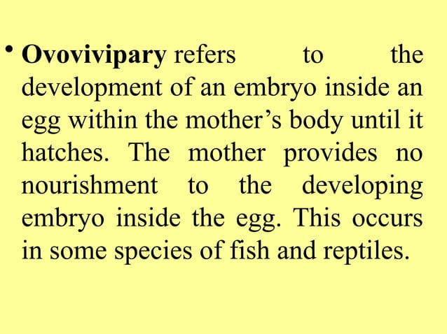 Zoology_II;_the_chordates.pptx first year | PPT
