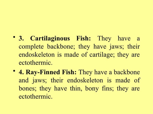 Zoology_II;_the_chordates.pptx first year | PPT