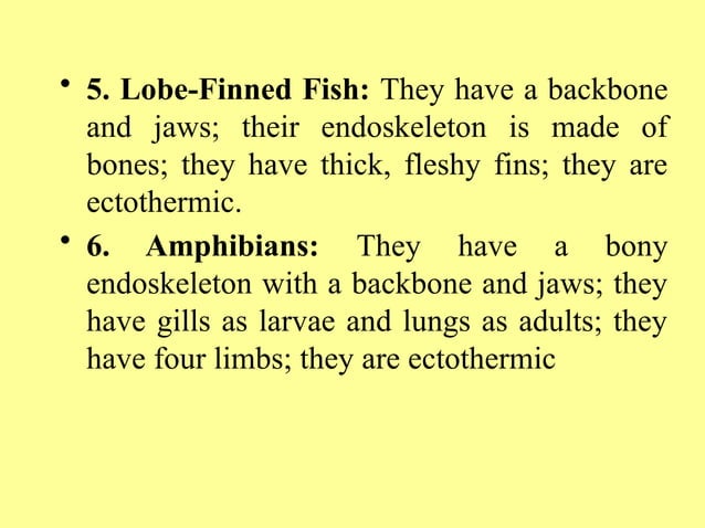 Zoology_II;_the_chordates.pptx first year | PPT