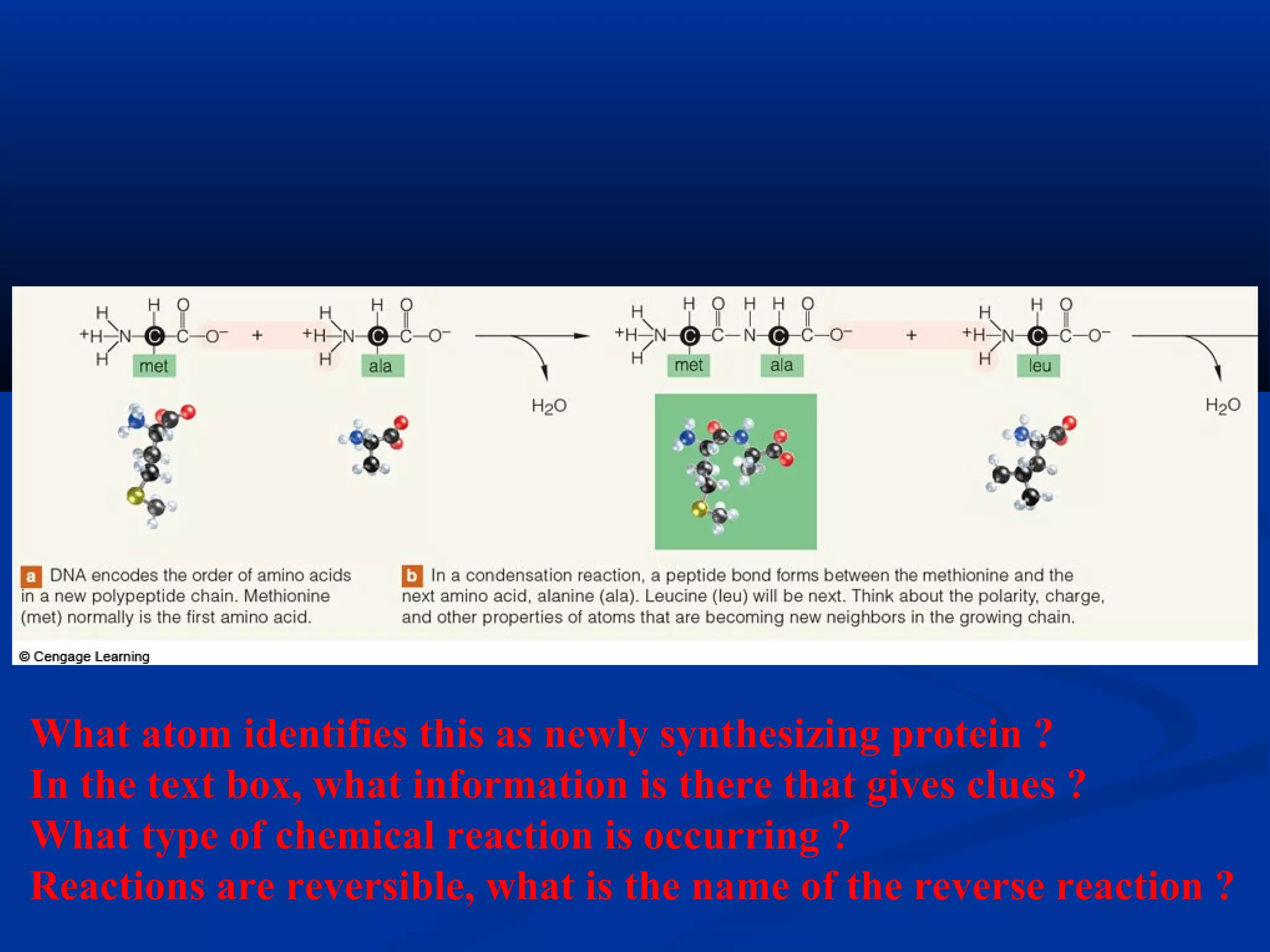 Zoology introduction | PPT