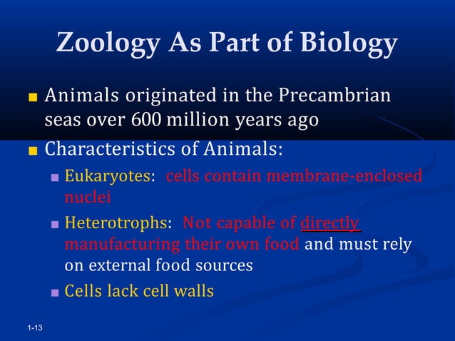 zoology introduction.pptx