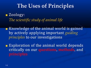 zoology introduction.pptx