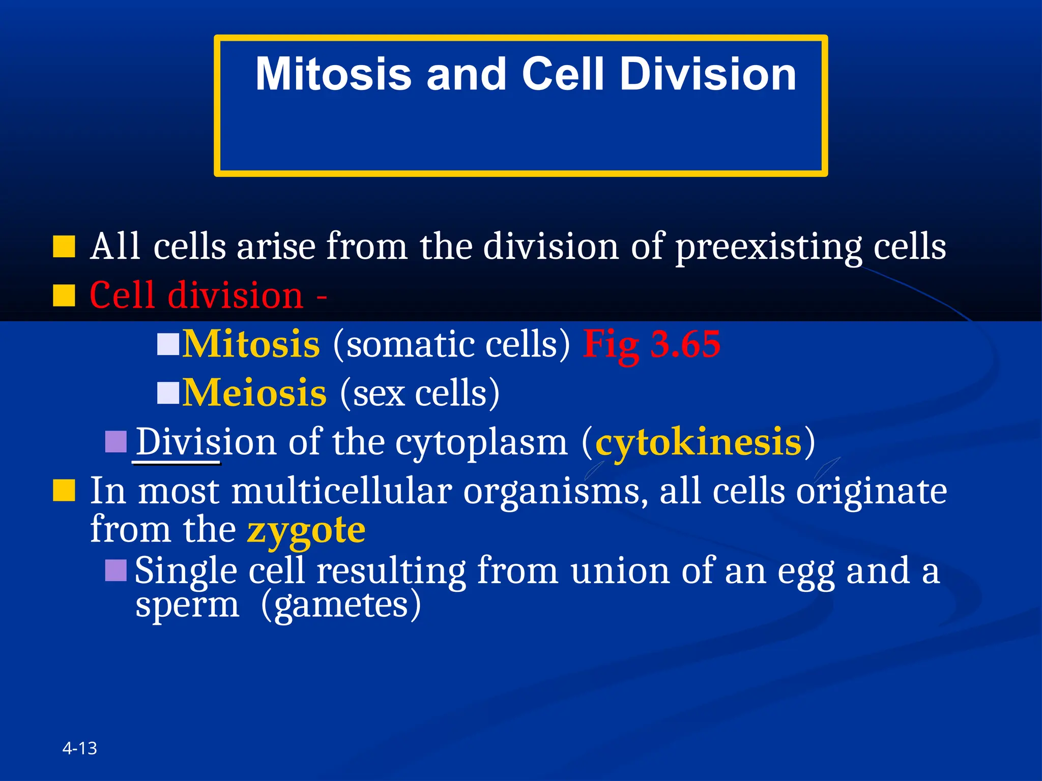 zoology introduction lecture notes.pptx. | PPT zoology introduction lecture notes.pptx. | PPT