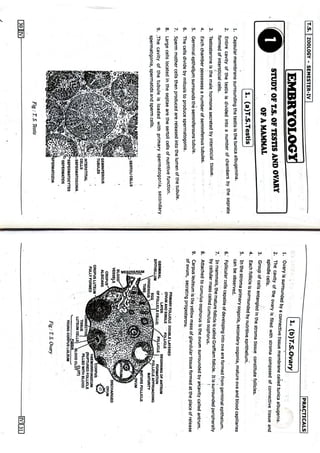 UG IV SEMESTER ZOOLOGY PRACTICAL MANUAL | PDF